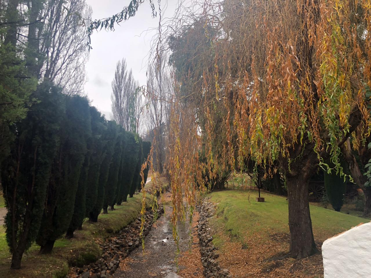 PUEBLOS GALESES - Suteba