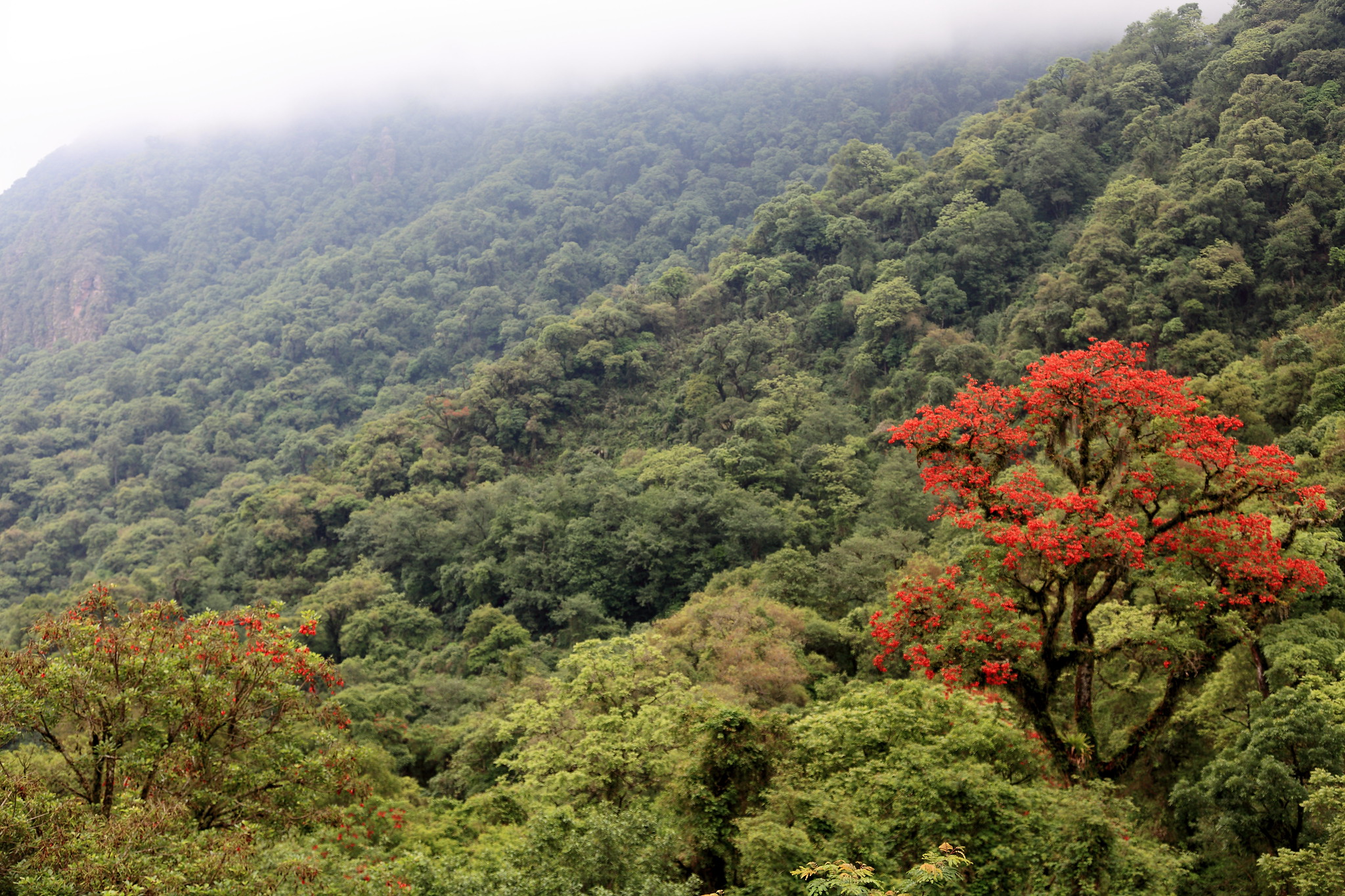 PARQUE NACIONAL CALILEGUA - Suteba